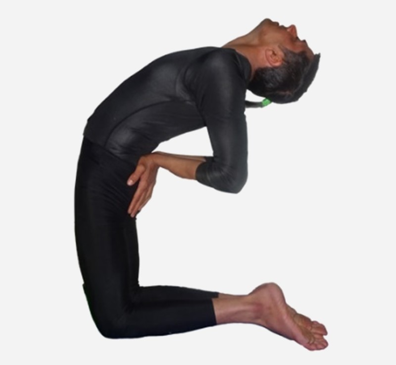 Ardha ustrasana (the half camel posture) – Vedic Spiritual Heritage ...