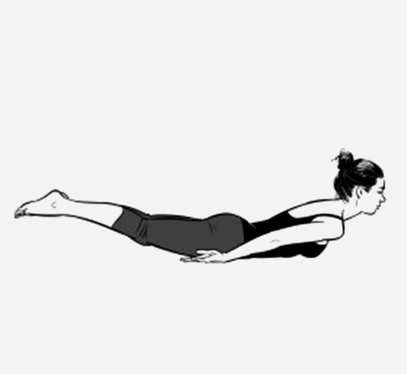 Salabhasana (the locust posture) – Vedic Spiritual Heritage Foundation